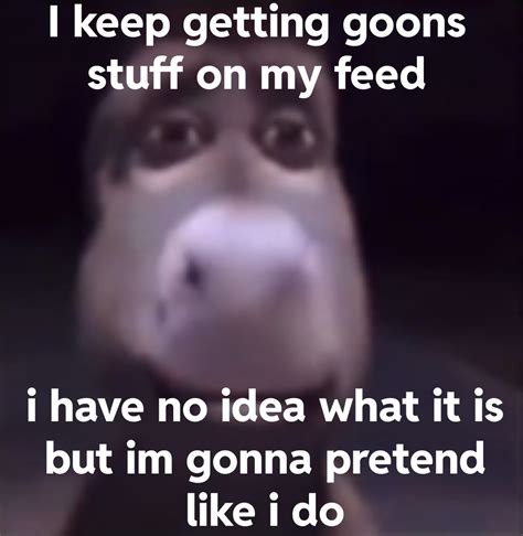 Ask Me Anything Rgoons