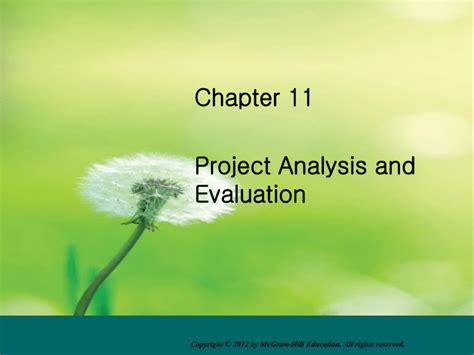 Project Analysis And Evaluation Npv Break Even Leverage