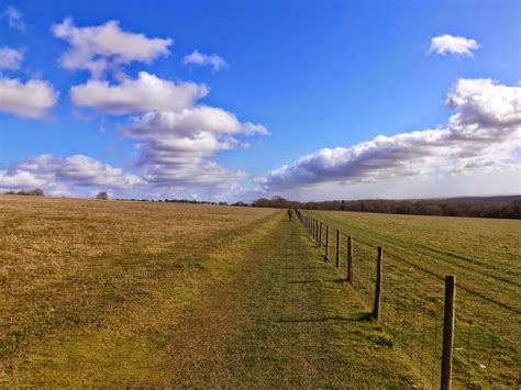Houghton Ancient Circular Walk South Downs Sussex Route Map Houghton