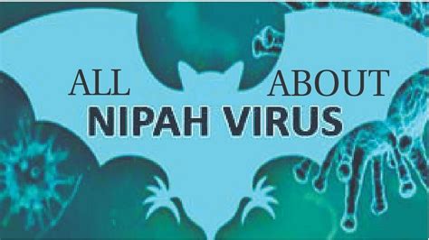 ALL ABOUT NIPAH VIRUS The Hitavada