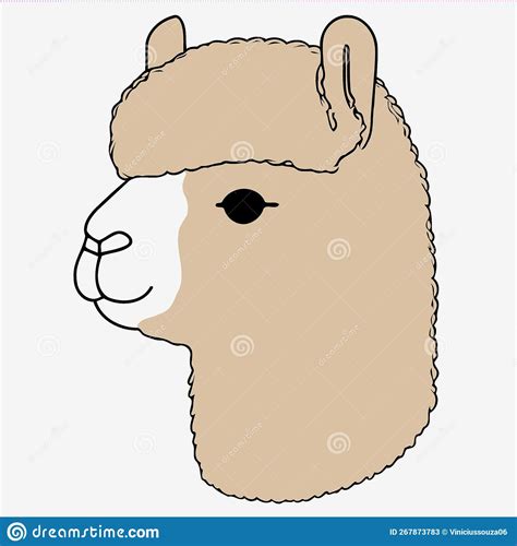 Camelid Animal Head Called Alpaca Stock Vector Illustration Of Alpaca
