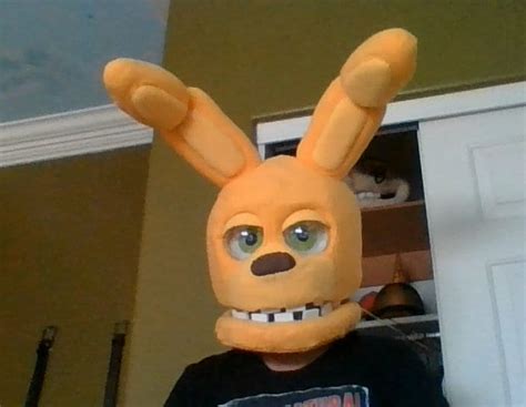 Spring Bonnie Head 41 Off