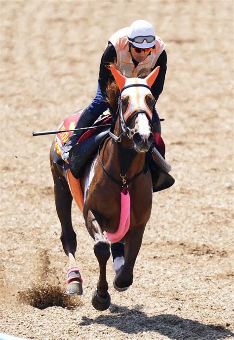 単走で追い切るクリノプレミアム（撮影・村上大輔） ― スポニチ Sponichi Annex ギャンブル