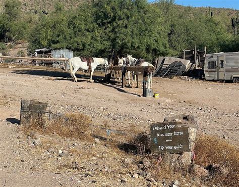 Bettys Trail Rides All You Should Know Before Going 2026 With Reviews
