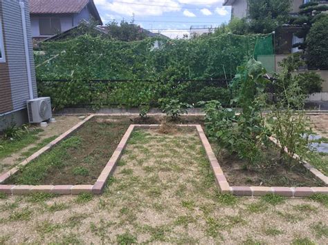 【家庭菜園】オススメ！庭に畑があると超新鮮野菜が食べられる！！！ 2019 3 13 名古屋市柴垣グリーンテック