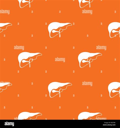 Hepatic Artery Liver Stock Vector Images Alamy