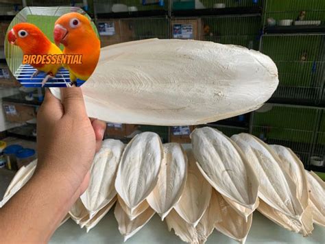 Cuttlebone For Birds Lazada Ph