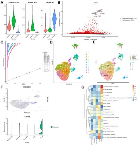 Analysis Of Single Cell Sequence Data From Multiregional Sample In Hcc