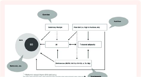 Relationship Between Risk Factors And Development Of Sarcopenic Obesity