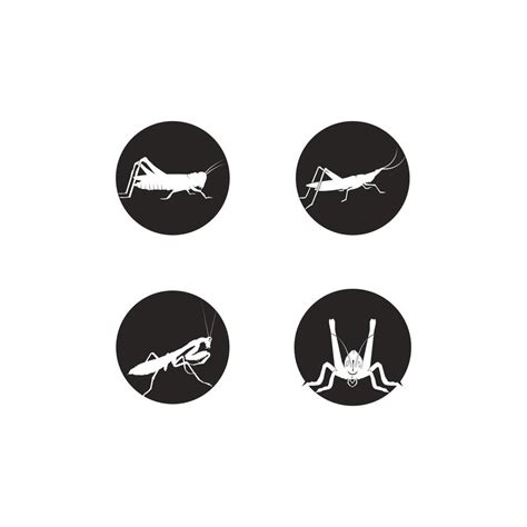 Grasshopper Logo Vector Illustration Symbol Design 10822932 Vector Art