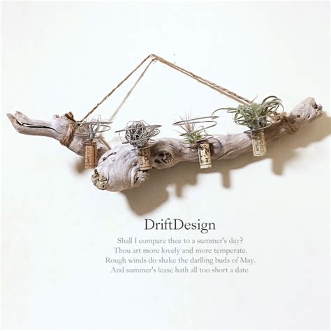 ～drift Design～ 大きめ流木のお洒落な多用途ホルダー エアプランツ 多肉植物 サボテン インテリア タペストリー・壁掛け