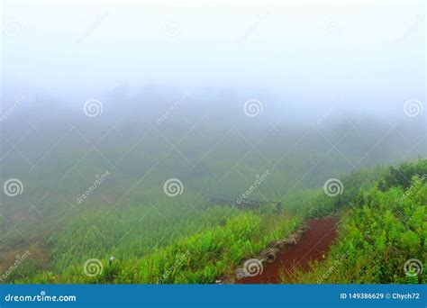 Paisaje De Niebla En El Top Del Volc N De Mombacho Granada Nicaragua