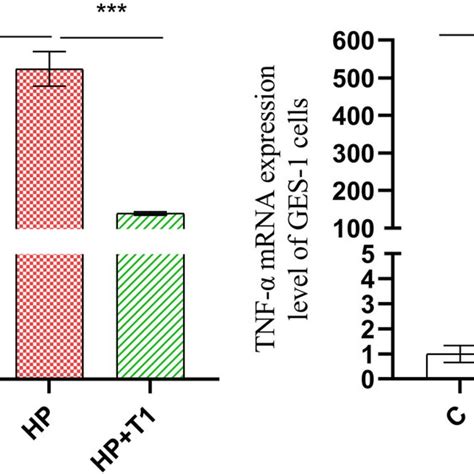 Impact Of L Casei T1 On Inflammatory Cytokines Gene Expression In
