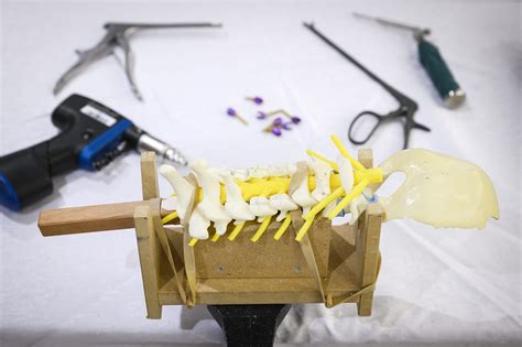 Ao Spine Na Newsletter Winter 2025 Ao North America