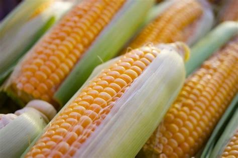 玉米和大豆价格接近创纪录新高？食品大涨价啥时候是个头？凤凰网视频凤凰网
