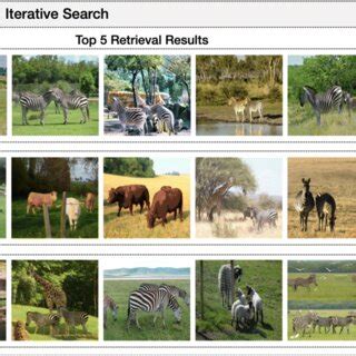 The Retrieval Performance Of Five GCN Models Using The NRN Structure In