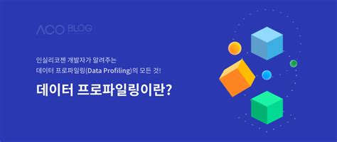 데이터 프로파일링data Profiling의 모든 것 데이터 프로파일링data Profiling의 모든 것
