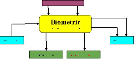 Information System Assignment Developing Biometric Based Secure