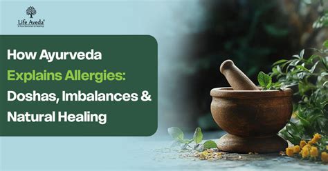 Best Ayurvedic Medicine For Sex Power Life Aveda