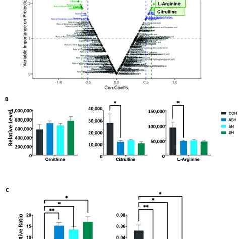 Significantly Altered Pathways During Chronic Persistent Asthma A Download Scientific