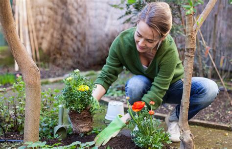 Spring Activities That Dont Require Energy Ugi Energylink