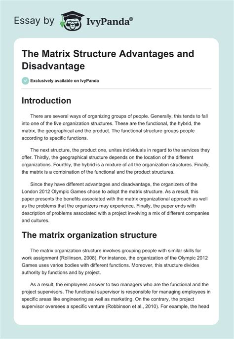The Matrix Structure Advantages And Disadvantage 1983 Words Essay