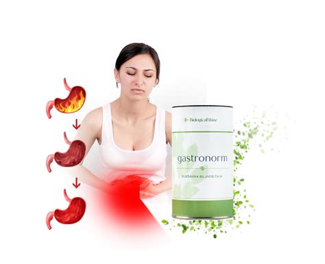Gastronorm - Biological Shine