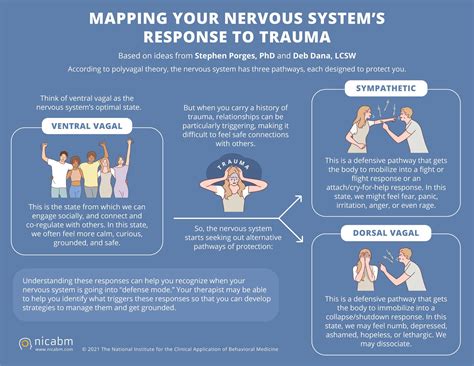 Nervous System Regulation 101 How To Rewire Your Brain And Body After