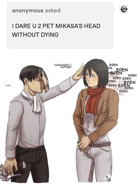 Funny Attack On Titan Mikasa