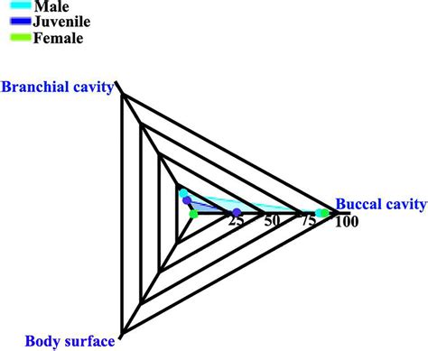 Polar Plot Showing Site Of Attachments Of Different Life Stages Of