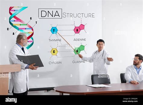 Professors Giving Lecture In DNA Structure In Conference Room Projection Screen With