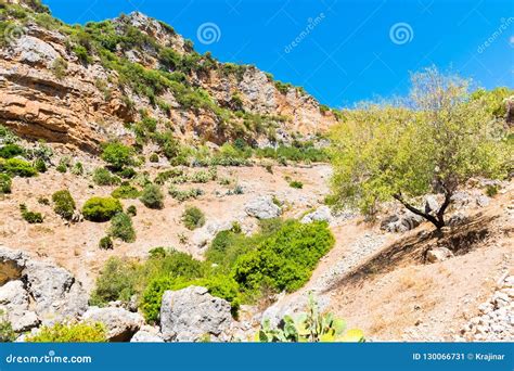 Hiking In Morocco`s Rif Mountains Under Chefchaouen City Morocco