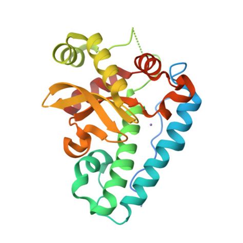 Superoxide Dismutase Structure