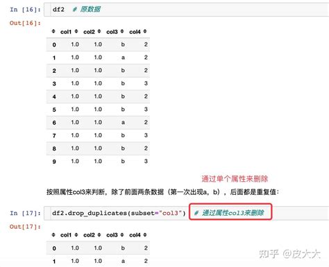 图解Pandas重复值处理 知乎