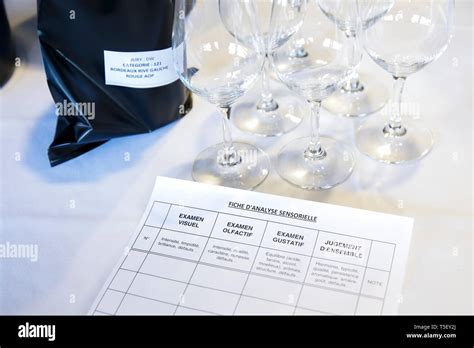 Illustration Blind Wine Tasting Contest Sensory Tasting Grid To Rate