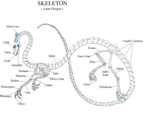 Recycle Reuse Renew Mother Earth Projects How To Make Your Own Dragon Fossils Dragon Fossil