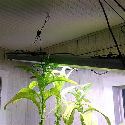 AAGriculture Automated Aquaponic Garden Hackaday Io