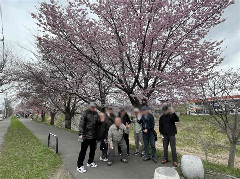 年 月 念願の桜並木ウォーキング 平野研究室 札幌医科大学保健医療学部 公衆衛生看護学