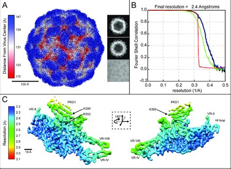Cryo Em Reconstruction Of Aavgo 1 Pkd12 Complexes A Aavgo 1 Pkd12 Download Scientific