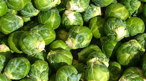 Beaver Produce Debras Natural Gourmet