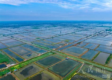 湖北汉川：生态养殖 提效增收 人民图片网