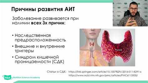 NSA, Владимир Дадали | Образовательный курс по нутрициологии и ...