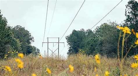 Rethinking Row Management Tandd World