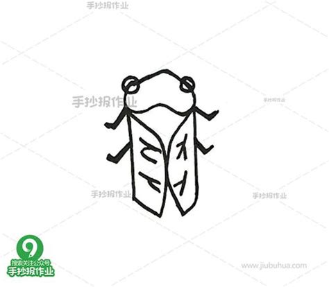蝉的进化过程简笔画 简笔画图片大全 蒲城教育文学网