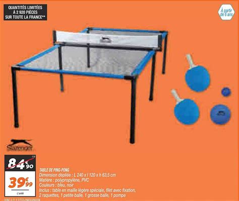 Promo Table De Ping Pong Chez Netto Icataloguefr