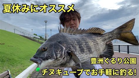 チヌキューブでお手軽に黒鯛を釣る！【夏休みにオススメ】 Youtube