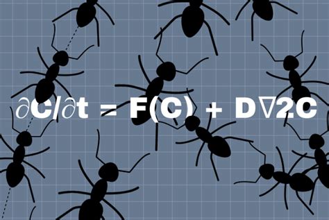 clustering pattern of azteca ant colonies may be due to a turing