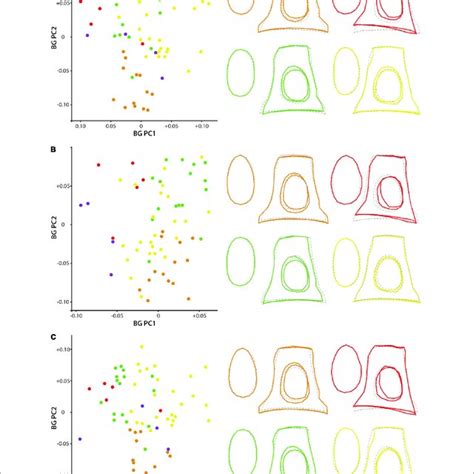 Geometric Morphometric Pca Results A Stapes Based On The Original Download Scientific