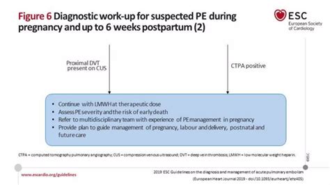 Diagnostic Algorithm For Acute Pulmonary Embolism Pptx