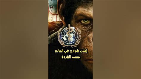 بسبب القردة أعلنت الأمم المتحدة إعلان حالة طوارئ عالمية جدريالقرود